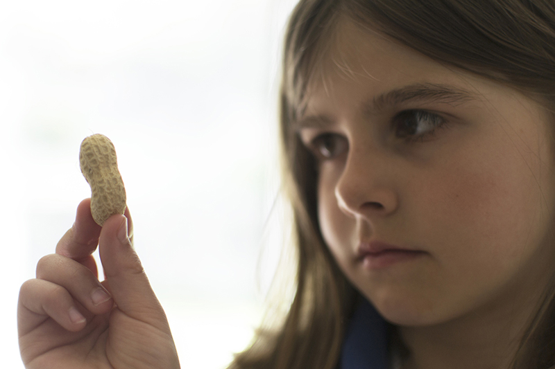 Peanut Allergy Therapy Loses Effect After Stopping | NIH News in Health
