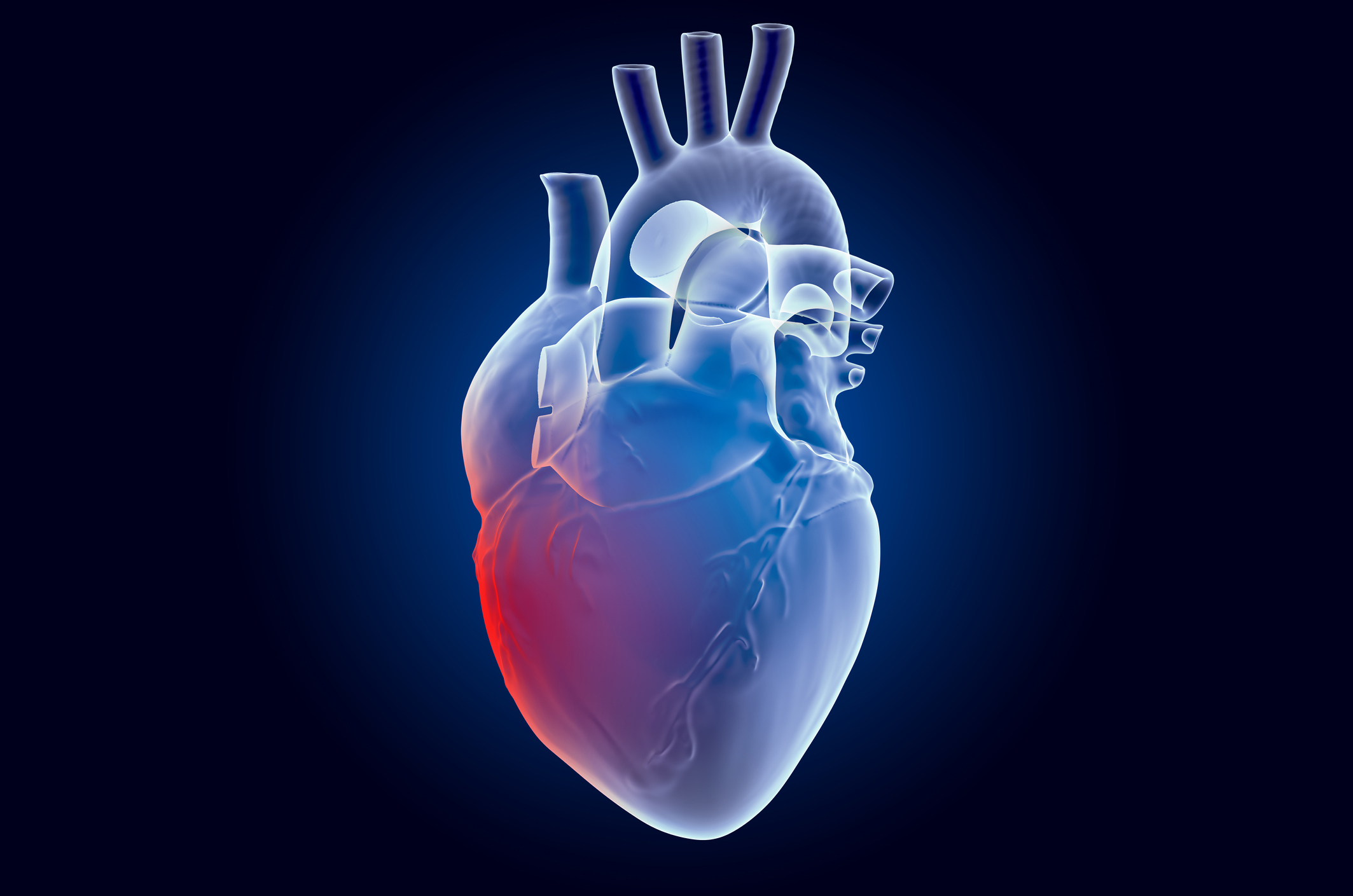 Understanding Heart Inflammation | NIH News in Health
