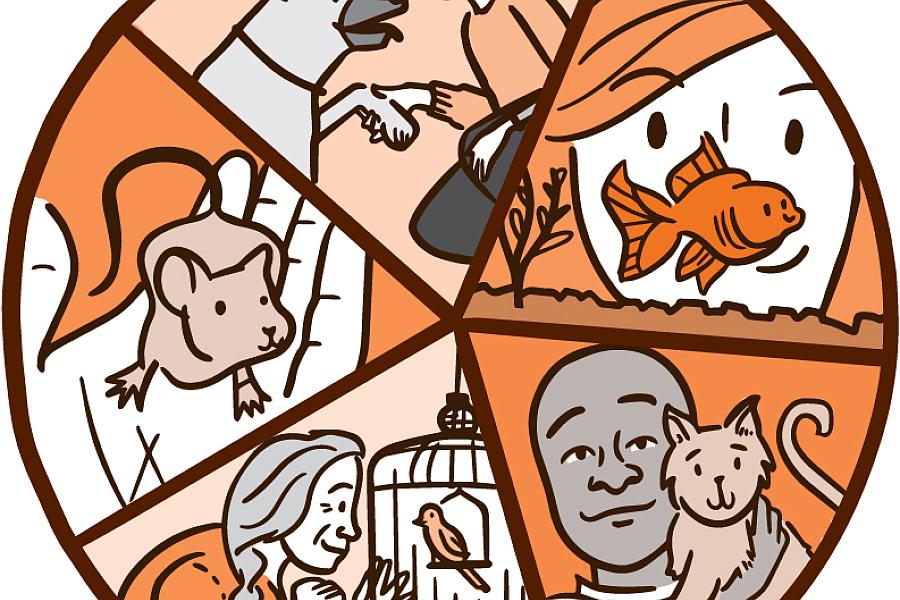 The Power of Pets | NIH News in Health